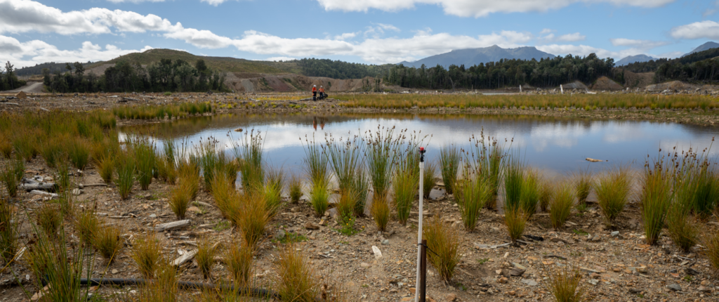 Reefton Restoration Project – OceanaGold